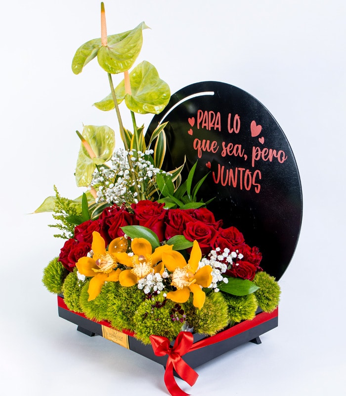 Orquídeas - Floreria La Orquídea